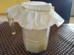 How to make potato yeast – Culinary Labz
