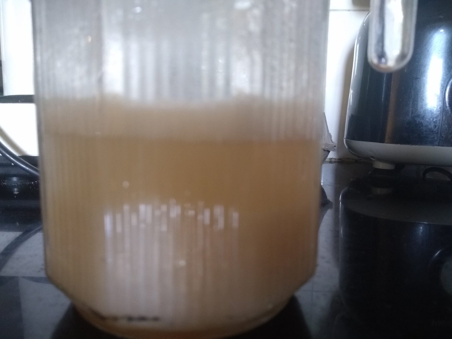How to make potato yeast – Culinary Labz